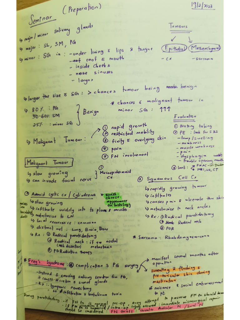 Combo ENT Notes | PDF