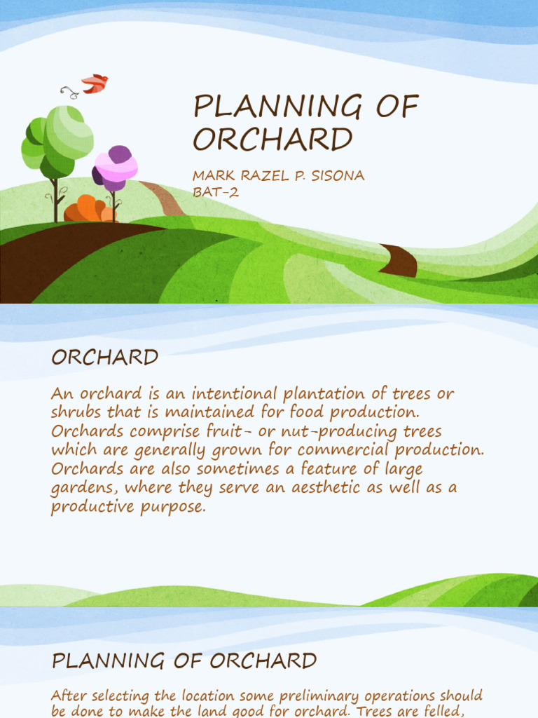 Planning of Orchard | PDF | Soil | Orchard