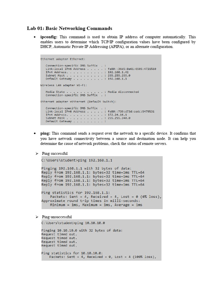 Lab 01 Basic Networking Commands Ipconfig Pdf Internet Protocols Routing