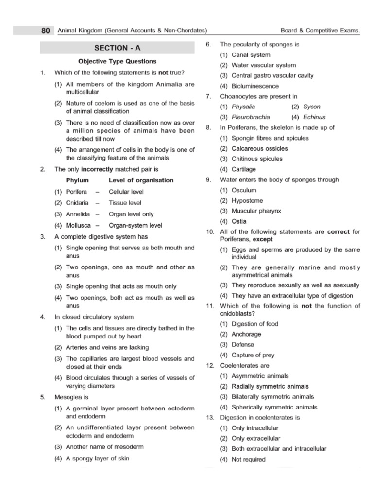 Animal Kingdom-Worksheet-1-3 | PDF