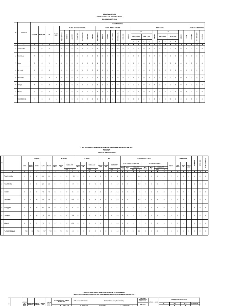Format Data Kesehatan Ibu Januari 2020 | PDF Format Data Kesehatan Ibu Januari 2020 | PDF