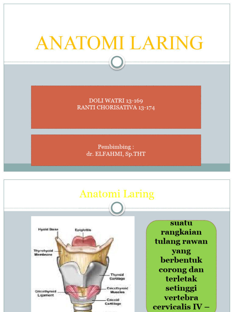 Anatomi Laring dan Fungsinya | PDF