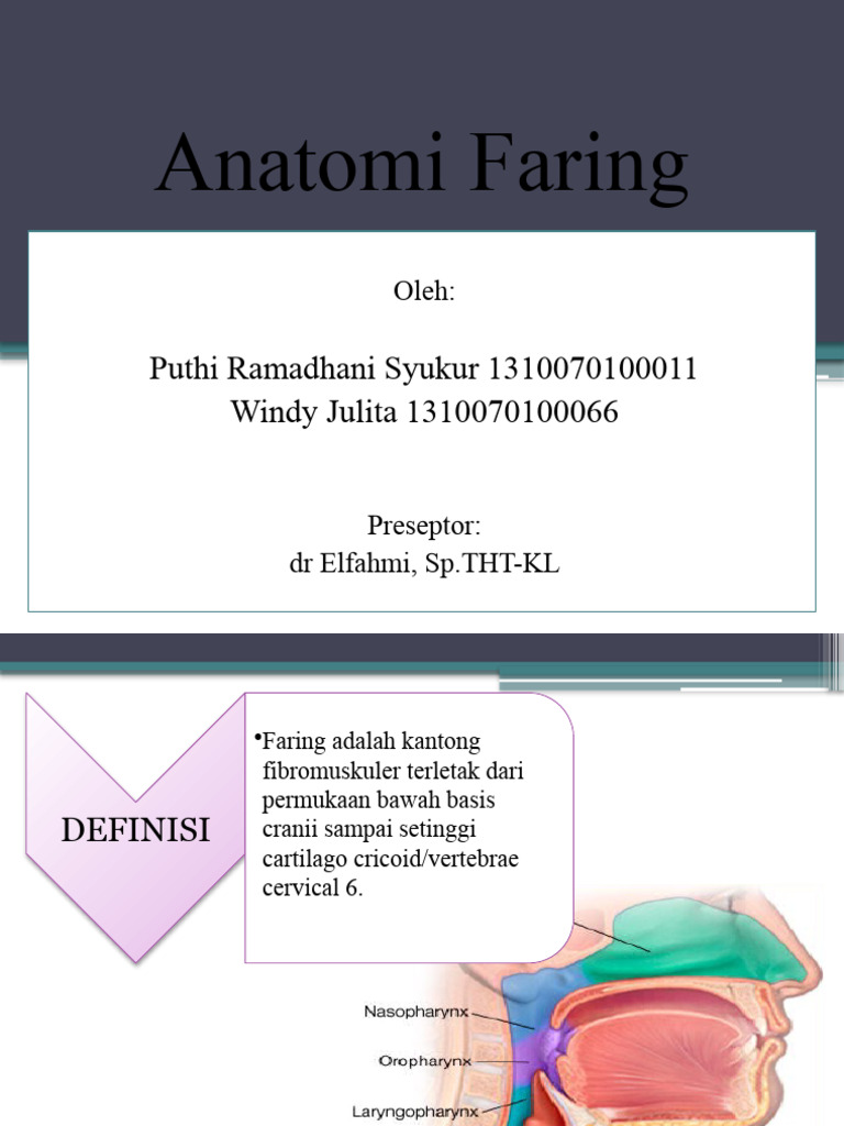 Anatomi dan Fungsi Faring | PDF | Kajian Bahasa Asing | Sains & Matematika