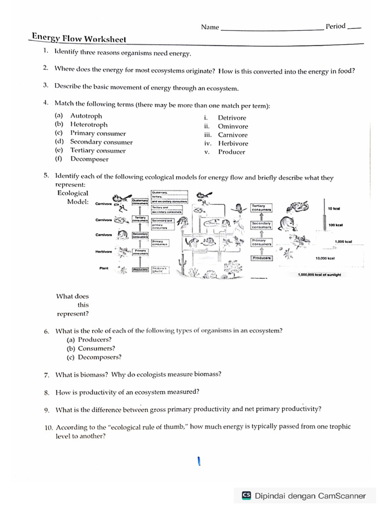 Grade 9 Ecology 1 | PDF