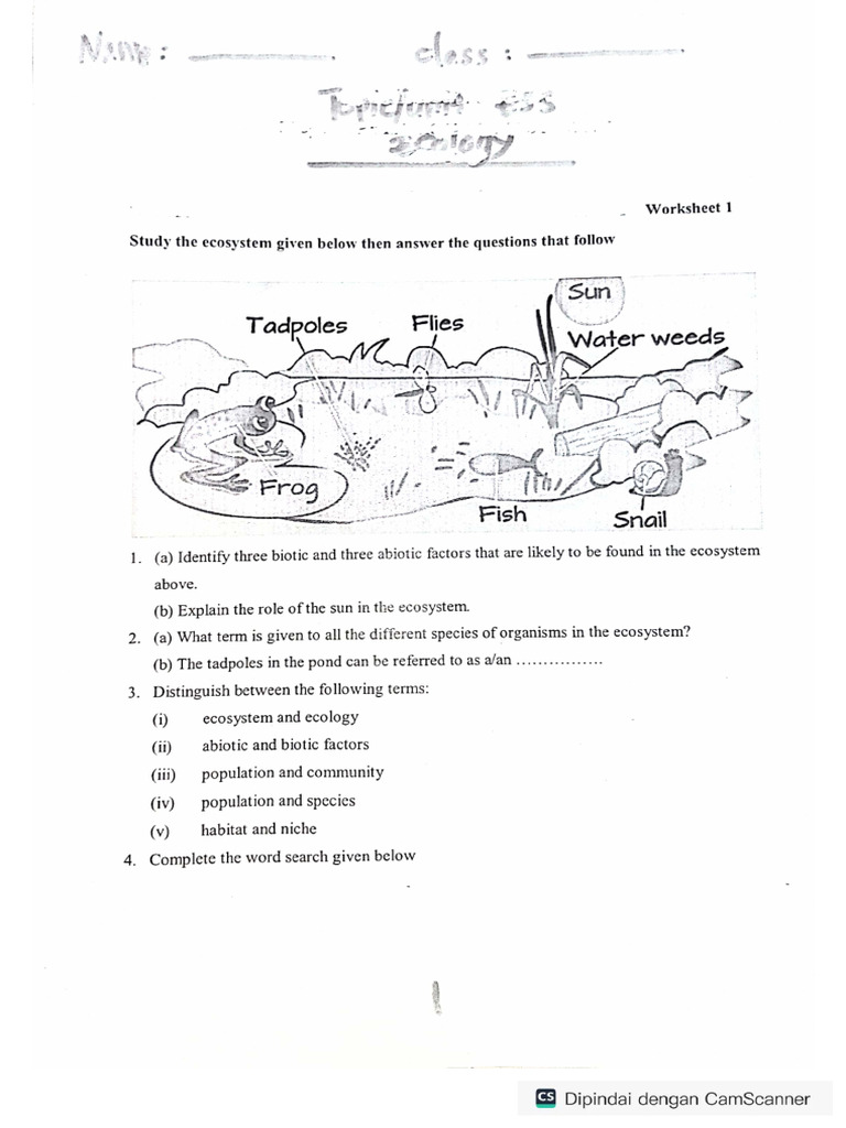 Grade 9 Ecology 2 | PDF
