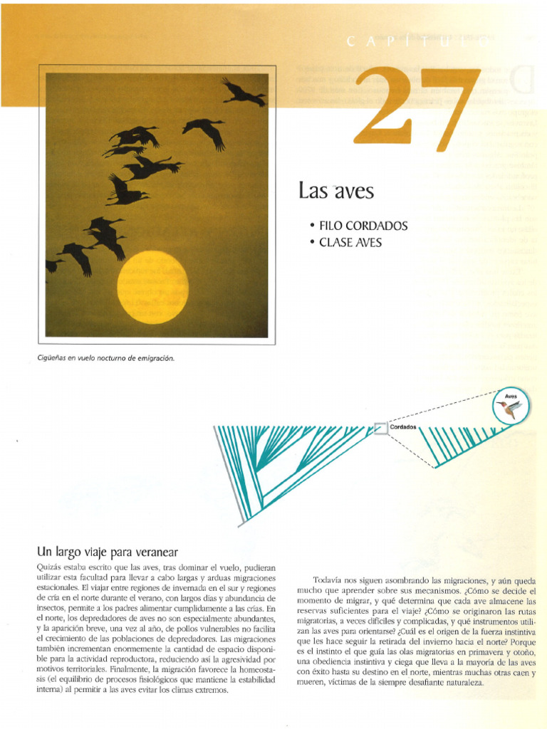 06 Cap. 27 - Las Aves. en 2013 - Hickman Et Al. - Zoología Principios Integrales (Scan a Color ...