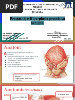 Tec Leve | PDF | Dolor de cabeza | Neurología