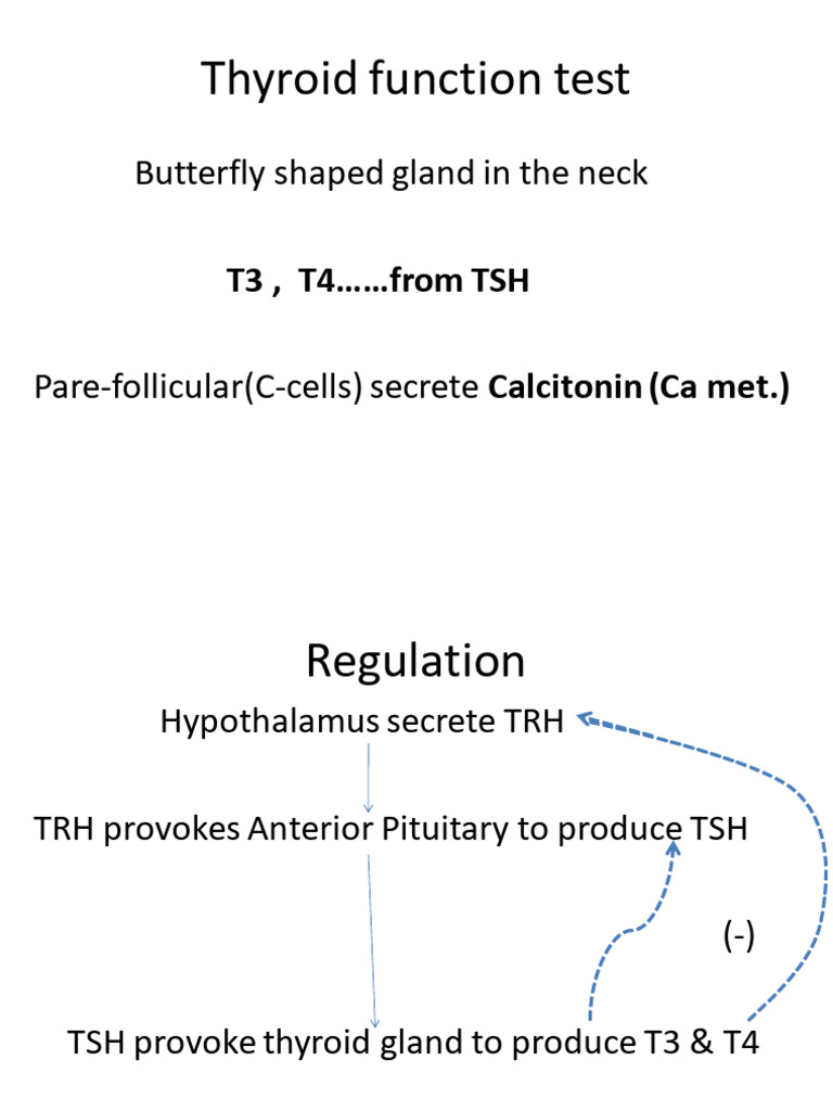 Thyroid Function Test 2022 | PDF