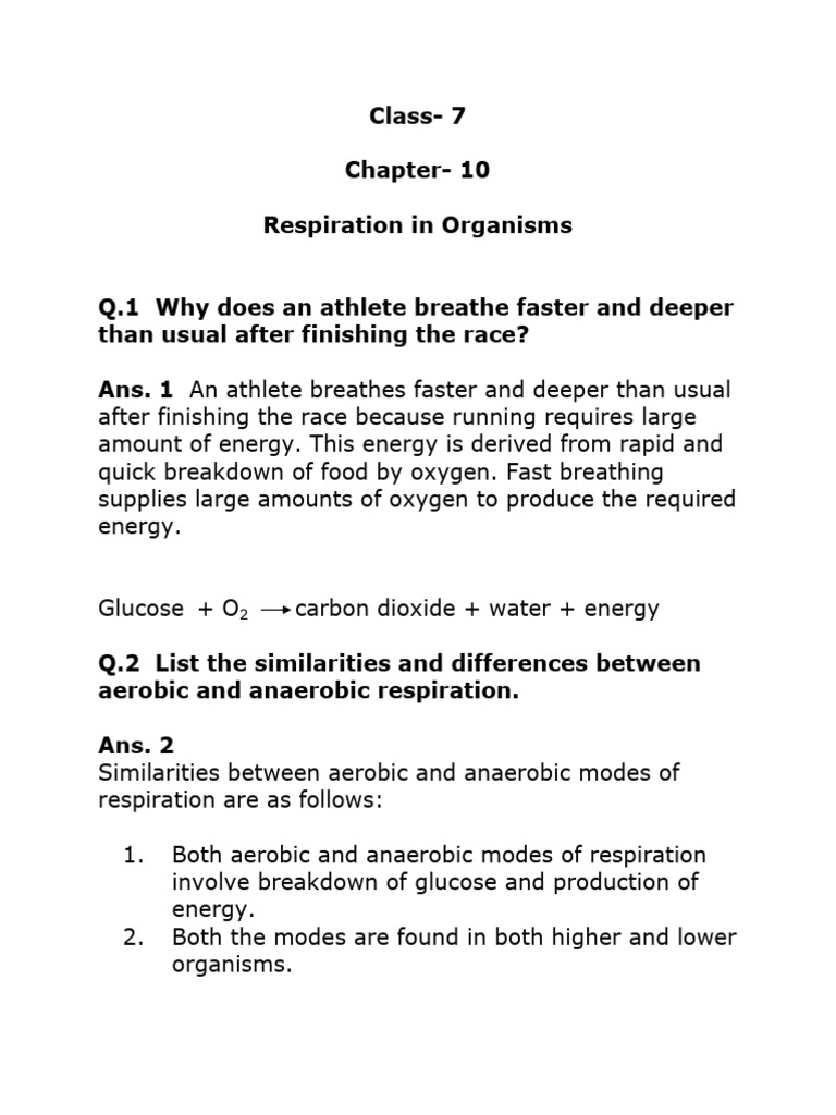 Cbse 07 Bio 10 Respiration in Organisms Niveditak | PDF | Cellular ...