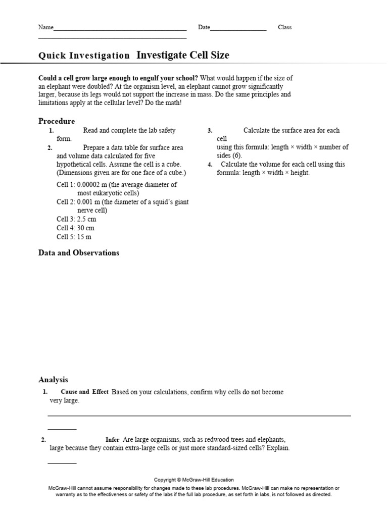 Bio Project 2 | PDF | Volume | Area