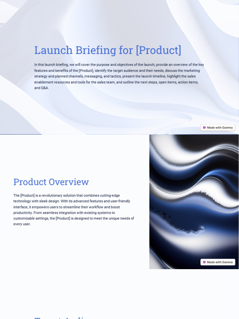 Launch Briefing For Product | PDF | Sales | Marketing