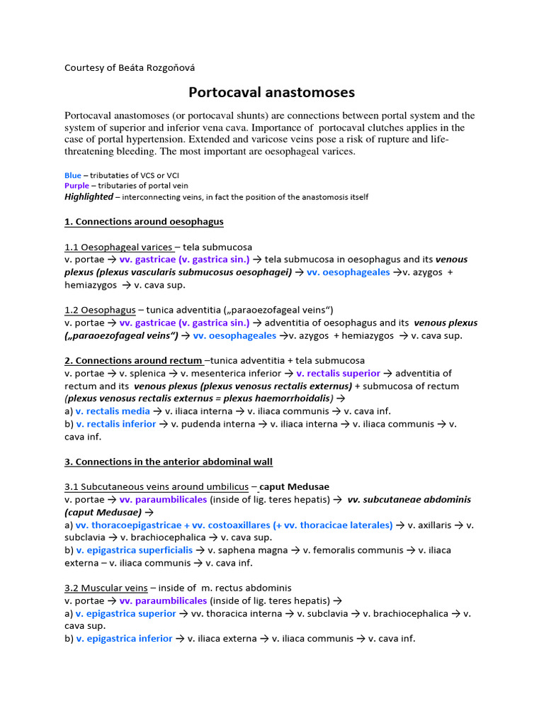 Portocaval and Cavocaval Anastomoses | PDF | Vein | Abdomen