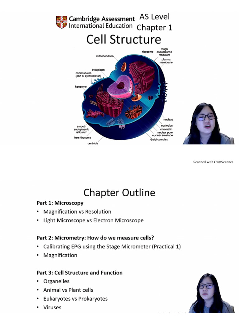 Cell Structure Notes | PDF