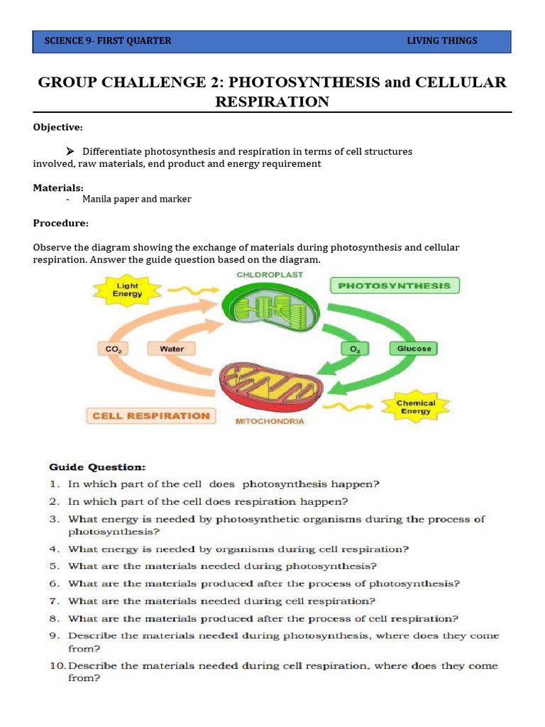 Group Challenge 2 | PDF