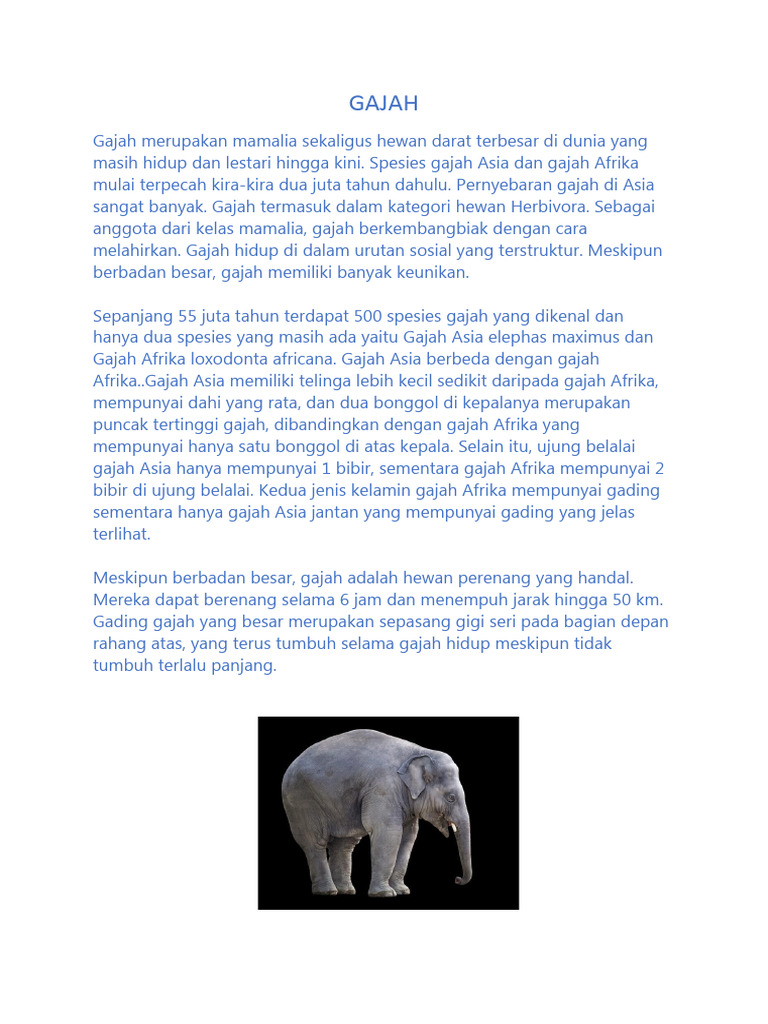 Gajah | PDF