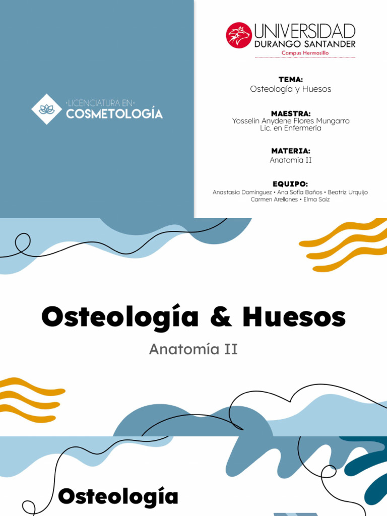 Estudio del Sistema Óseo y Osteología | PDF | Hueso | Esqueleto