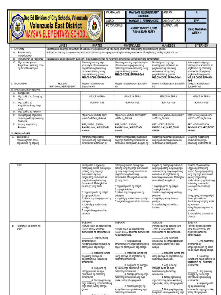 DLL in Epp4 Q1 - Week1 | PDF
