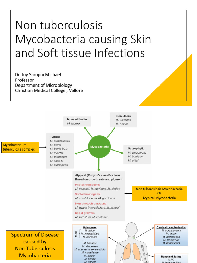 NTM Causing Skin and Soft Tissue Infections | PDF | Medical Specialties ...