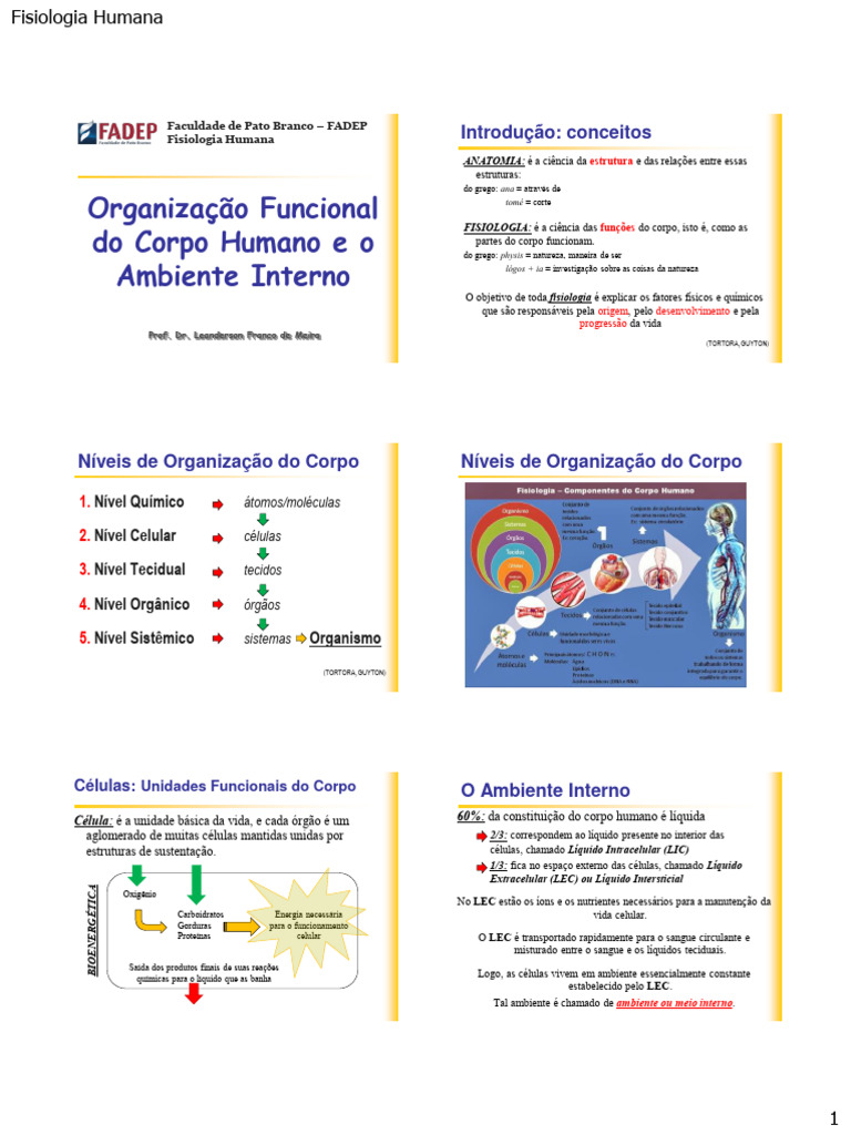 1 Organizacao Funcional Do Corpo Humano | PDF | Corpo humano | Homeostase