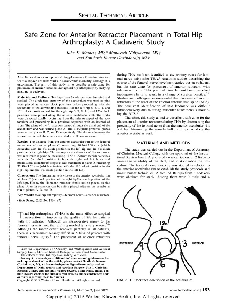 Safe Zone For Anterior Retractor Placement in Total Hip | PDF | Hip ...