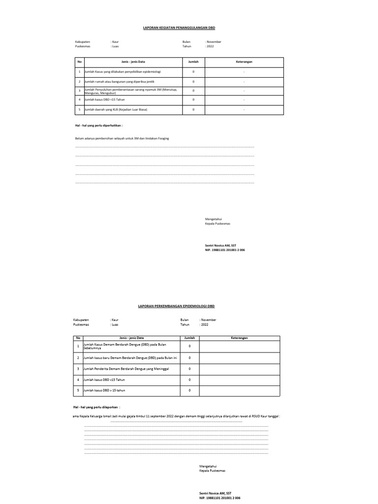 Format Laporan DBD PKM | PDF