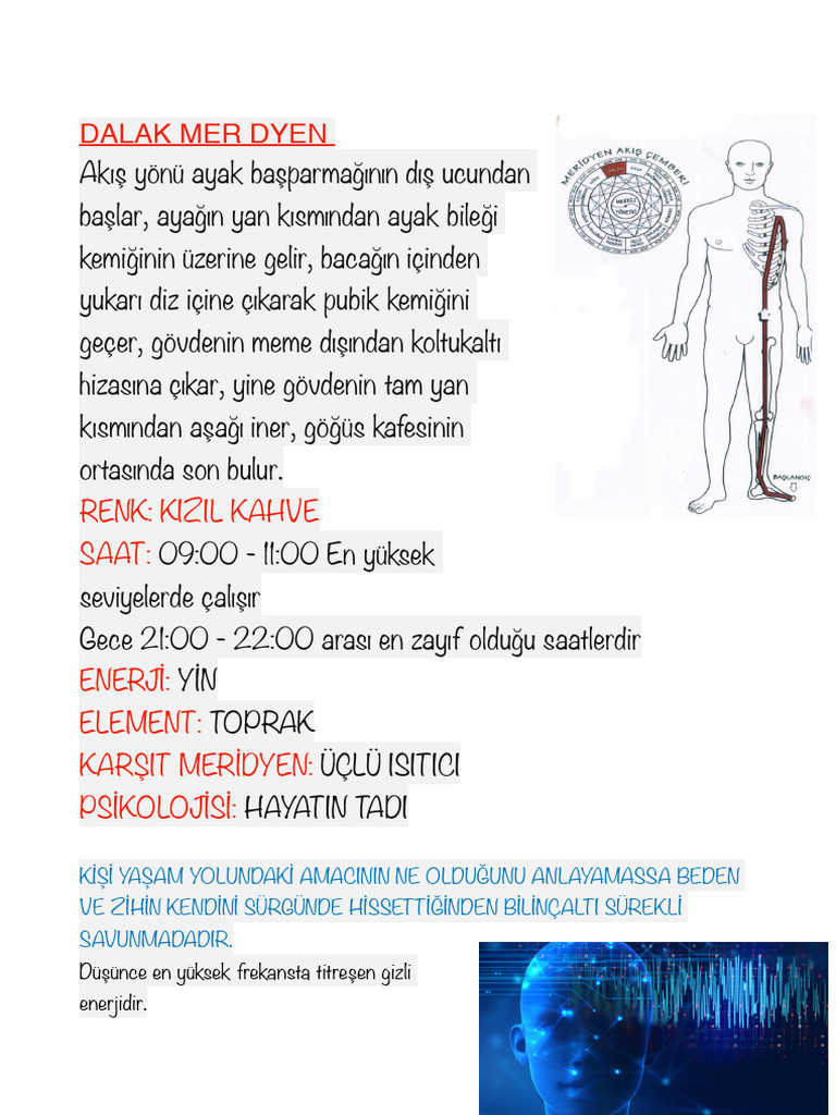 3-Dalak Meri̇dyeni̇ | PDF