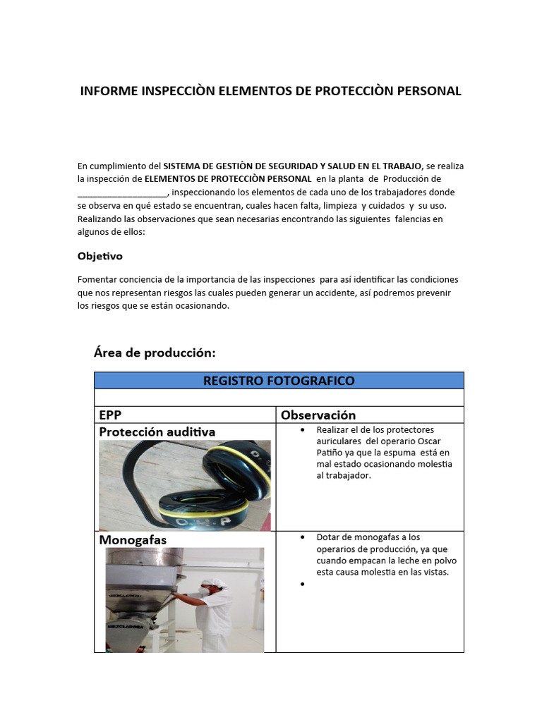 Modelo Informe Inspecciòn Elementos de Protecciòn Personal | PDF