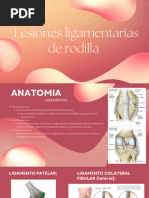 Pruebas de Bostezo en Rodilla | PDF | Rodilla | Medicina CLINICA