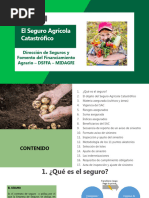 Siof Con Instruc. | PDF | Reaseguro | Agricultura