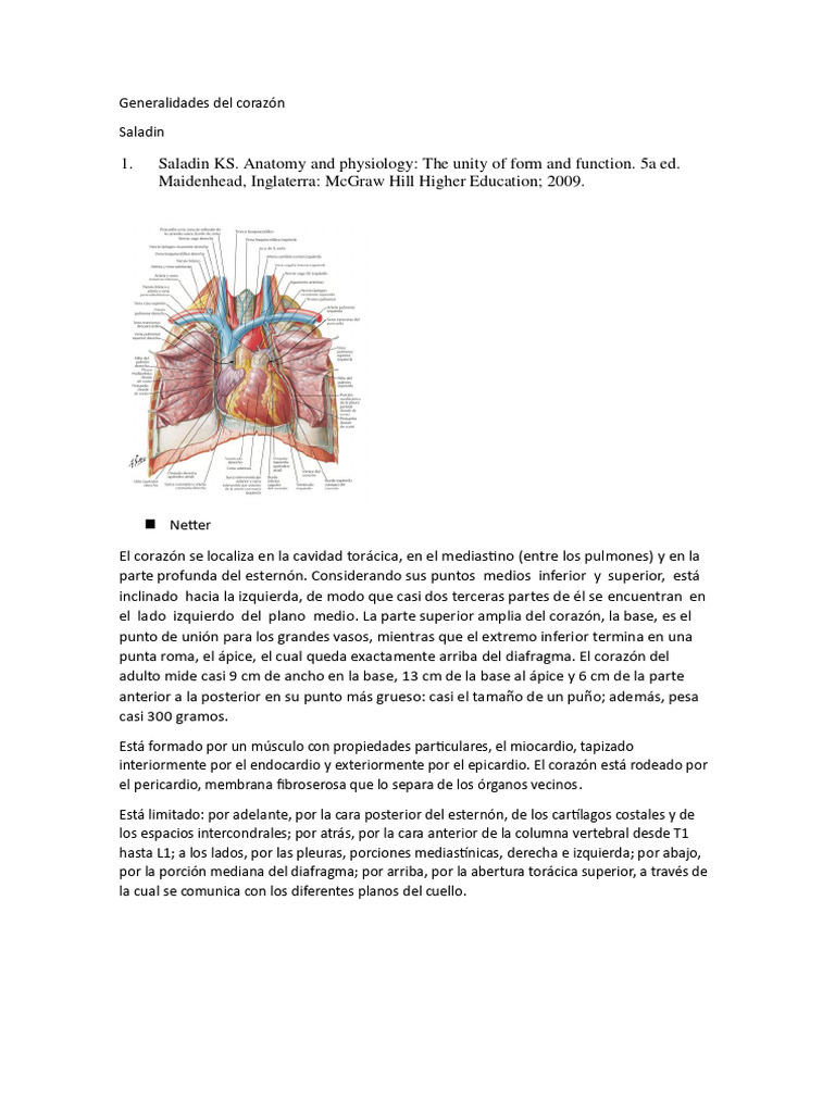 Generalidades Del Corazón Exposicion Macro 2 | PDF | Corazón | Ventrículo (corazón)