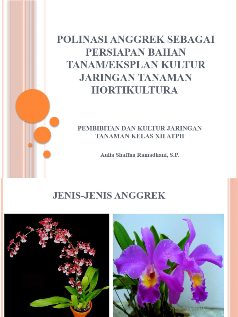Polinasi Anggrek Dendrobium dan Tekniknya | PDF