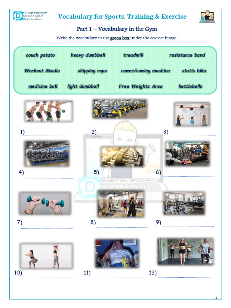 Vocabulary For Training in The Gym | PDF | Weight Training | Physical ...