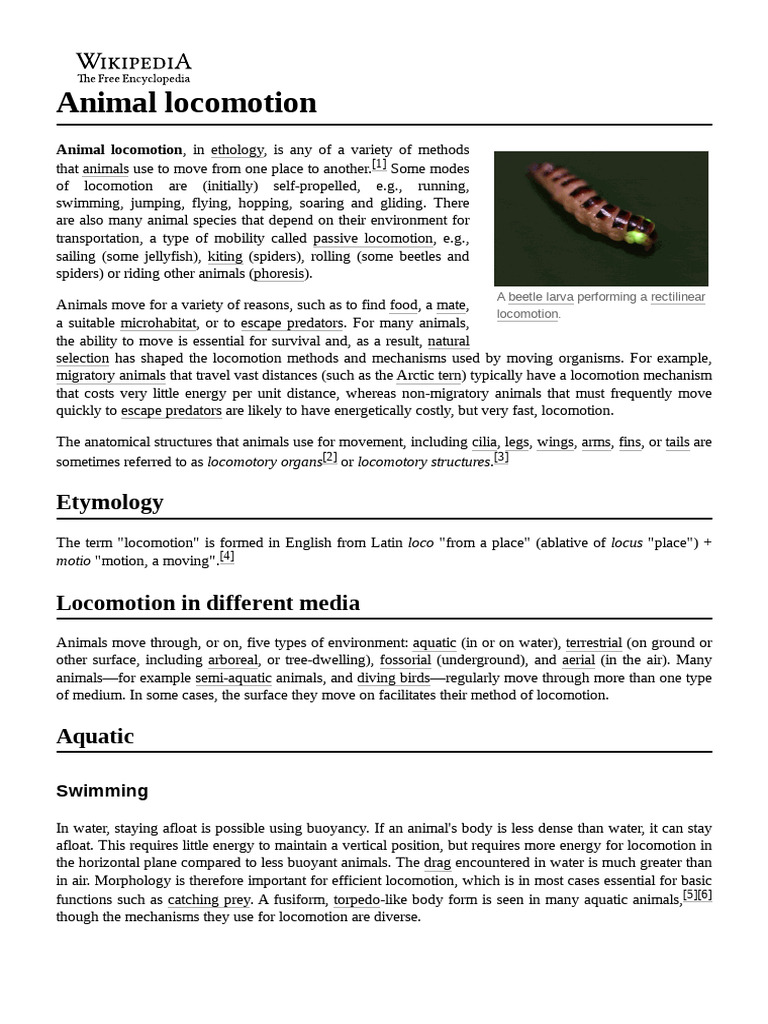Animal Locomotion | PDF | Animal Locomotion | Zoology