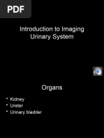 CT Urography: Techniques & Protocols | PDF | Ct Scan | Kidney