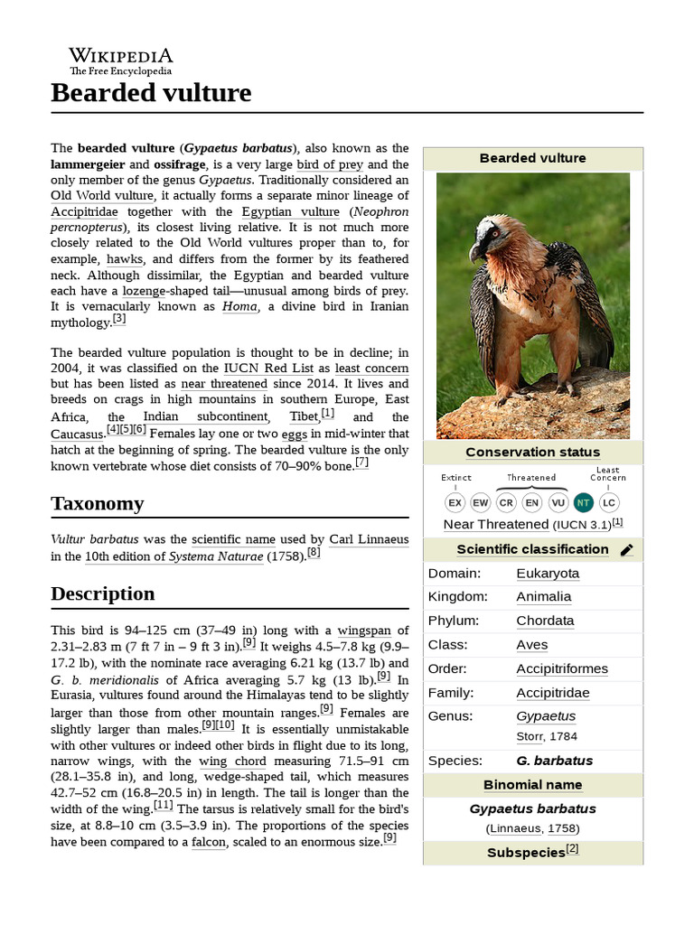 Bearded Vulture | PDF | Birds
