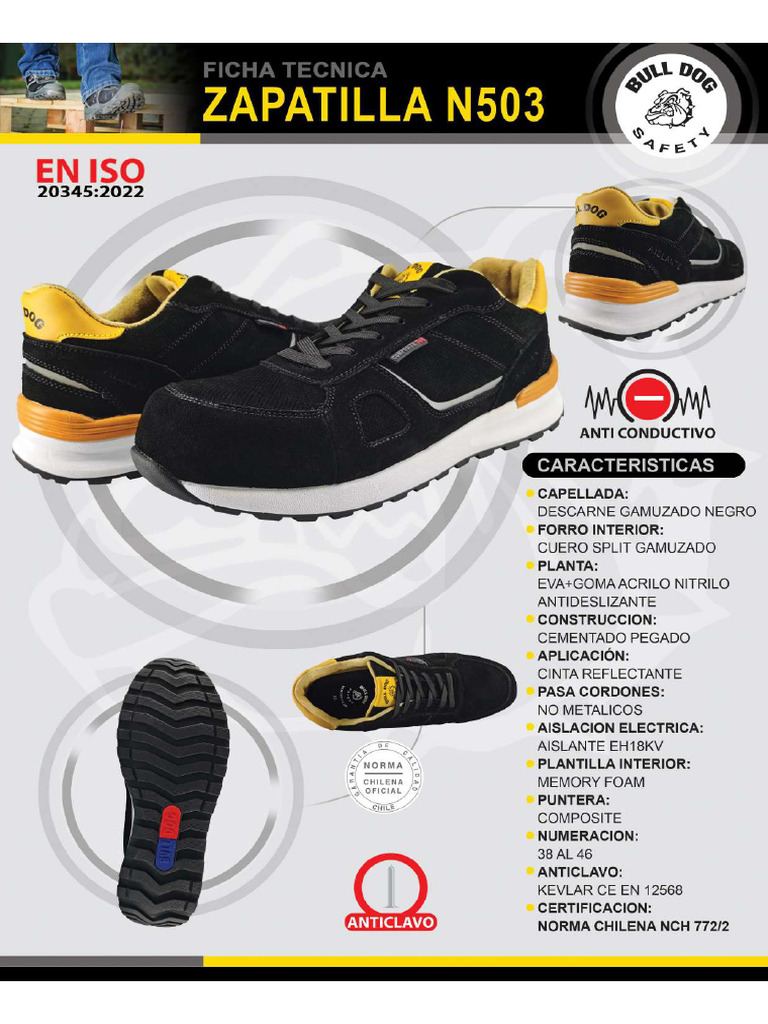 Ficha N503 en PDF | PDF