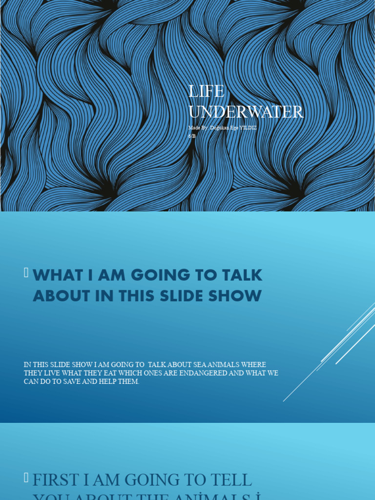 Life Underwater | PDF | Foreign Language Studies