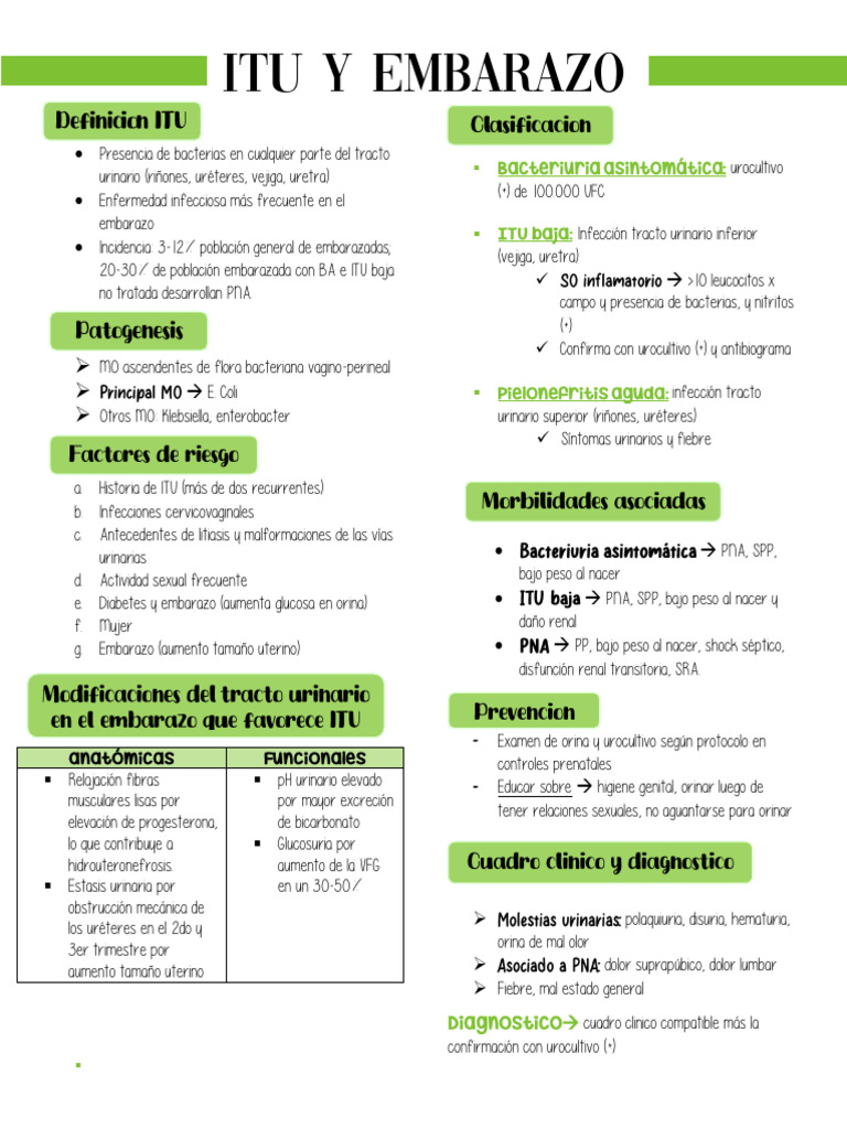 ITU y Embarazo | PDF | Sistema urinario | Infección del tracto urinario ITU y Embarazo | PDF | Sistema urinario | Infección del tracto urinario