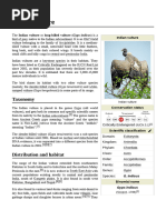 Beast Shapes D&D 5e Wiki Fandom | PDF | Zoology