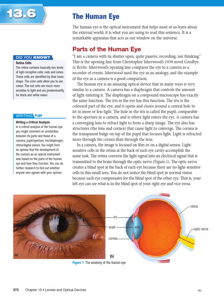 Gr10 Ch13.6 TB | PDF | Eye | Human Eye