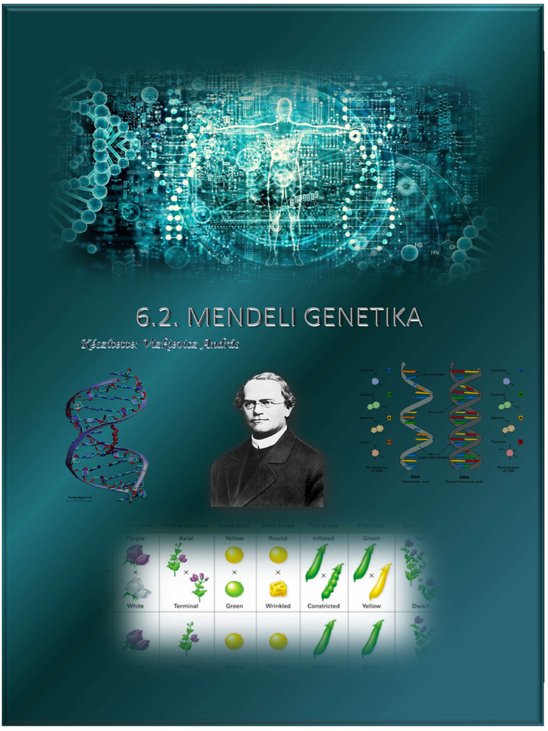 6.2.mendeli Genetika | PDF