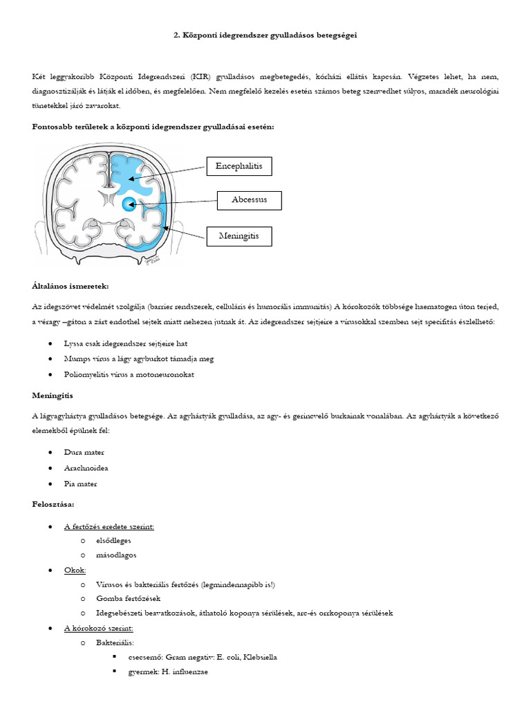 Központi Idegrendszer Gyulladásos Betegségei | PDF