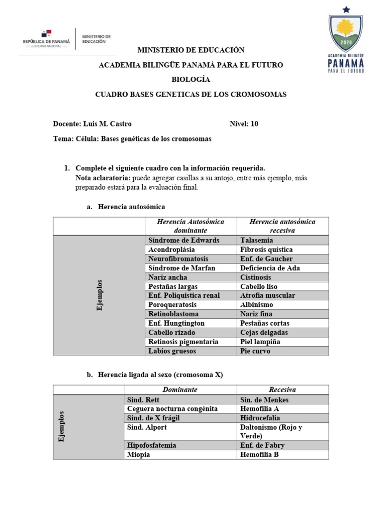 Cuadro Bases Cromosómicas de La Genética | PDF | Medicina CLINICA ...