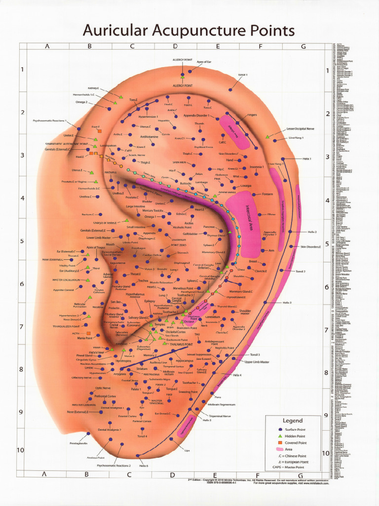 Auricular Acupuncture Points 01 | PDF