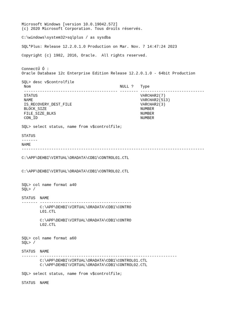 Démonstration fichier de controle | PDF | Computer Architecture | Information Technology