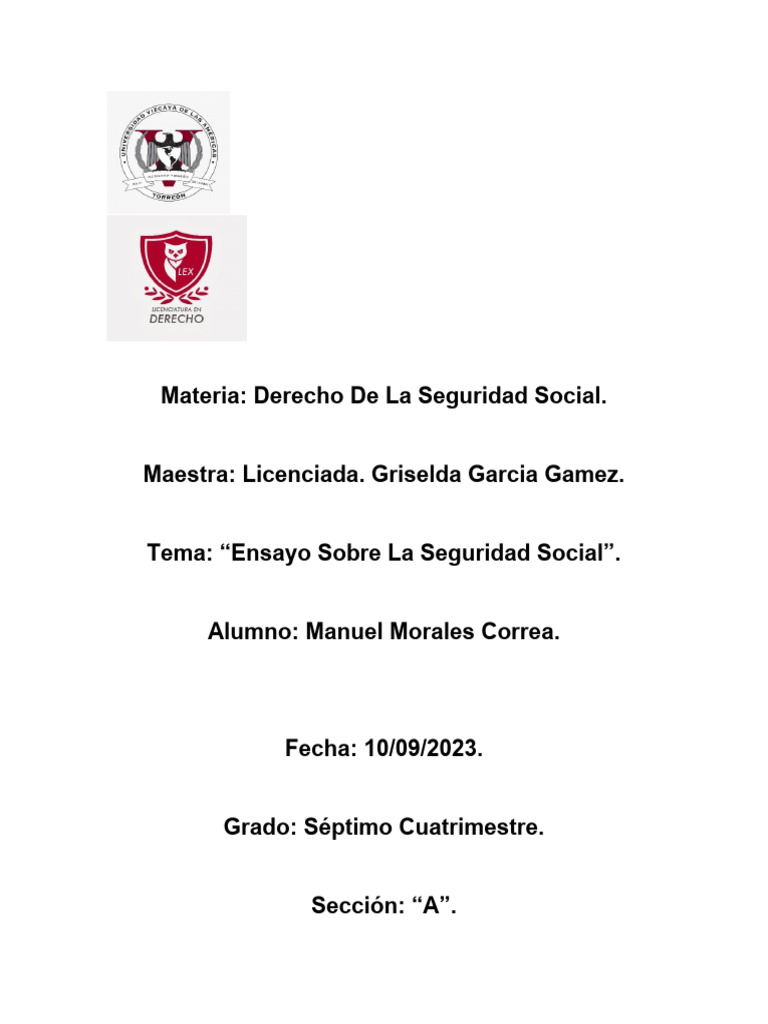 Ensayo Sobre La Seguridad Social | PDF | Salario | Derecho laboral