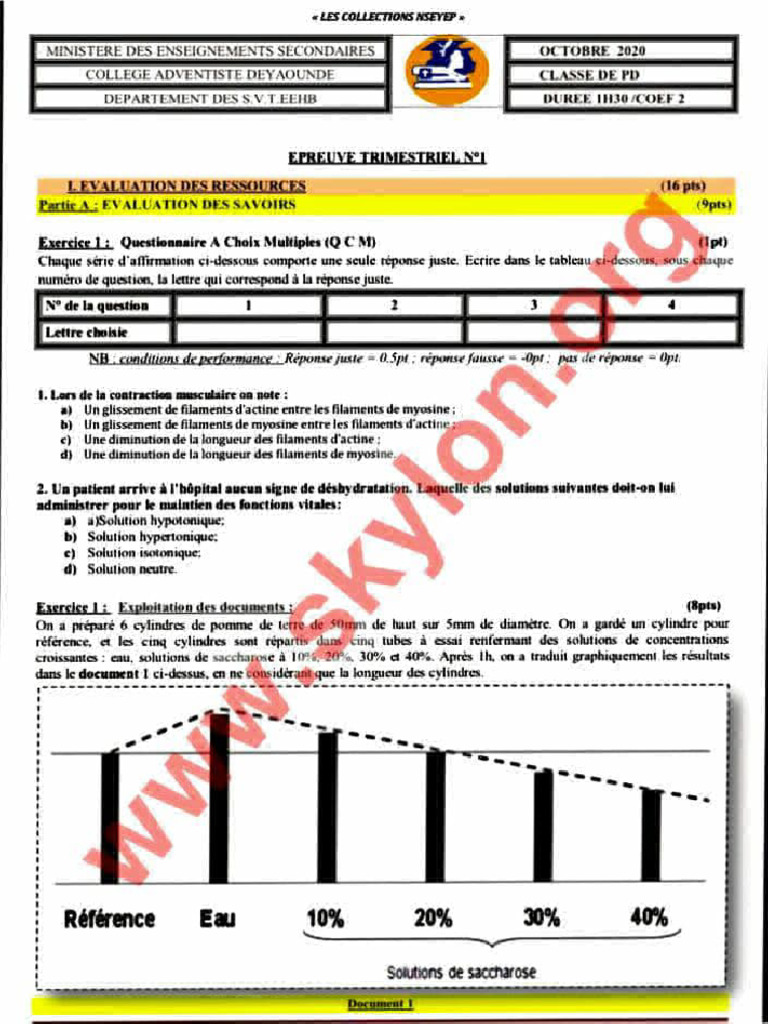 Seq1 Svteehb Tle D | PDF | Maison et jardin