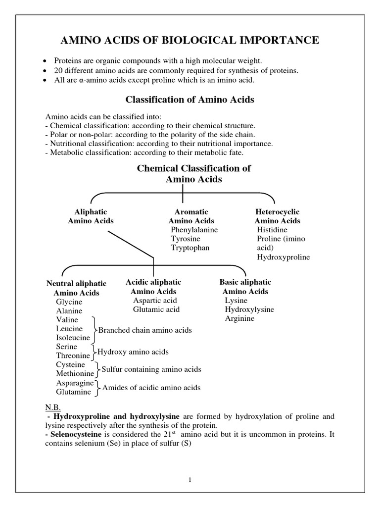 Amino Acid And Protein Chemistry Nub Handout Pdf Amino Acid Proteins