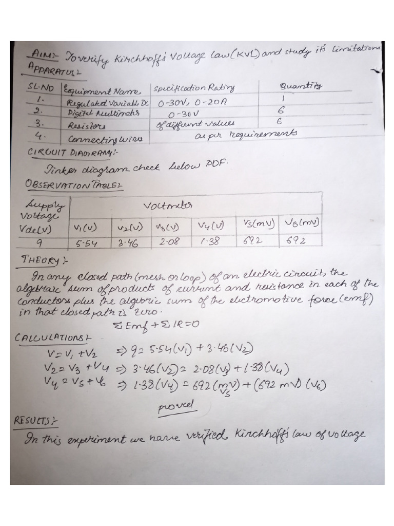 Bee Assignment | PDF