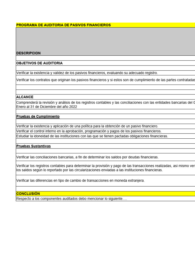 Modelo de Programa de Auditoria | PDF | Auditoría | Contabilidad